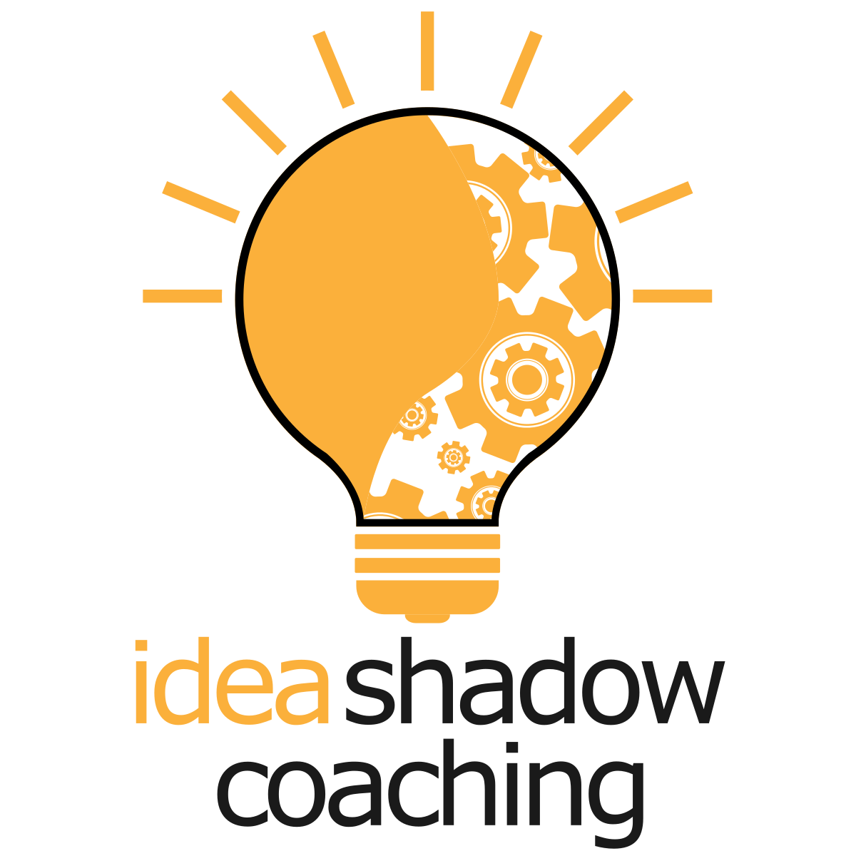 Idea Shadow Coaching